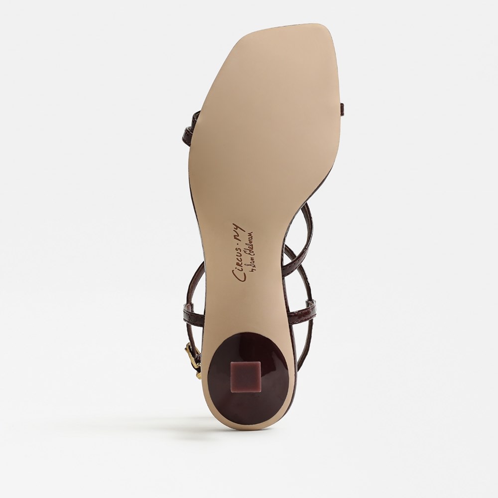 Circus NY by Sam Edelman Jaida Kitten Heel Sandal | Womens Heels