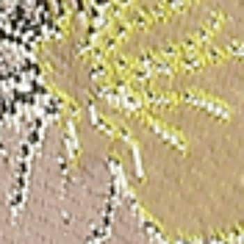 Circus NY by Sam Edelman Vivian Ballet Pump | Womens Heels